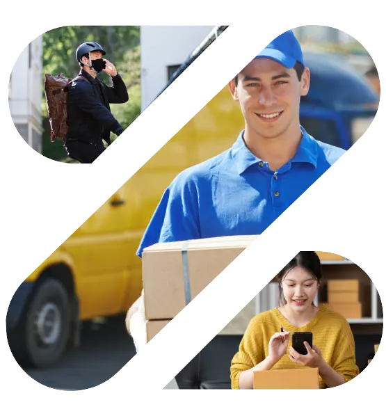 Comprehensive Third-Party Logistics Software